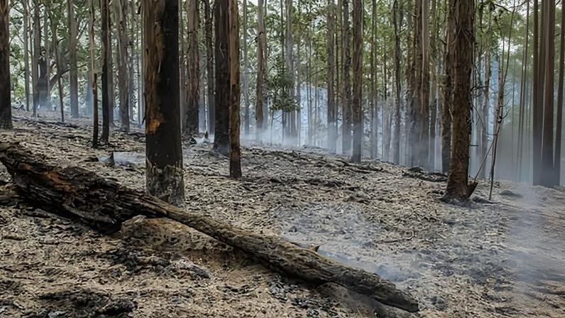 MI5 está tranquilo com proposta de superembaixada chinesa em Londres