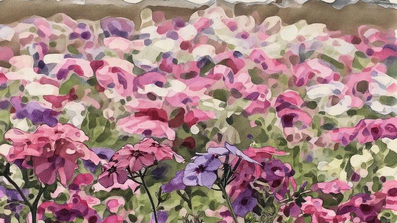 Primavera chega com frente fria, temporais e ventos fortes no ...