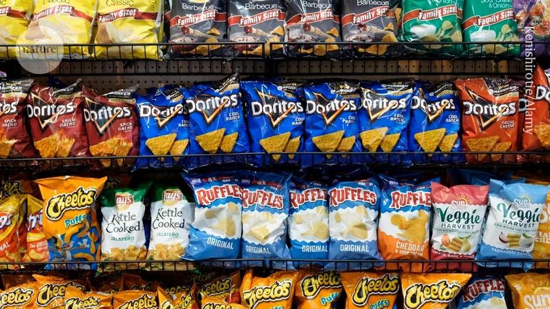 Alimentos ultraprocessados: entenda os riscos e benefícios segundo a ...